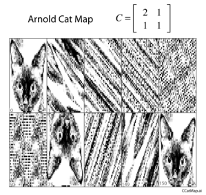 Vladimir Arnold’s Cat Map | Galileo Unbound