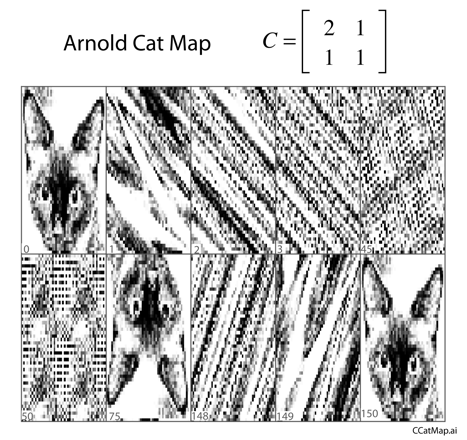 Vladimir Arnold’s Cat Map | Galileo Unbound