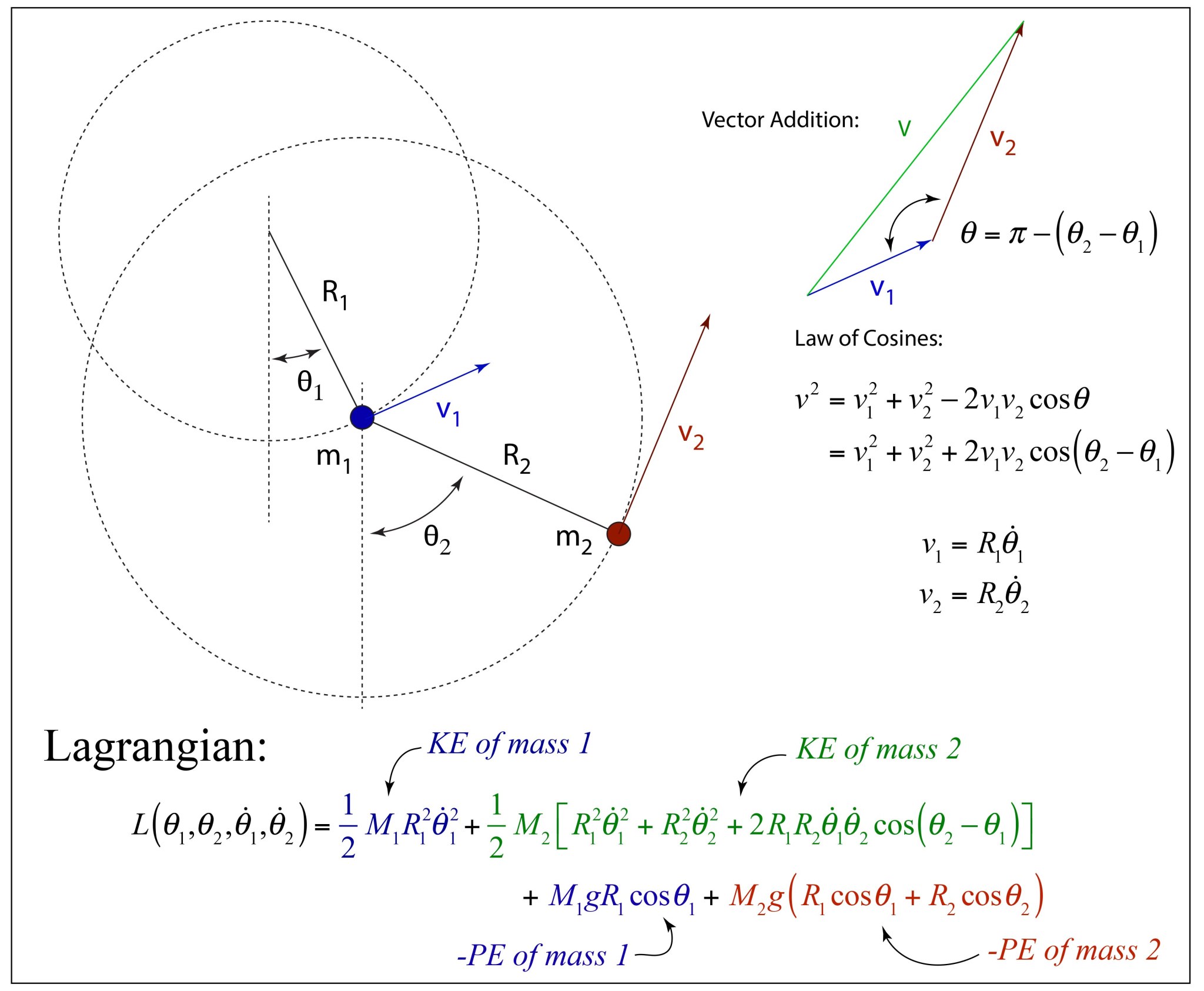 The Ups and Downs of the Compound Double Pendulum | Galileo Unbound