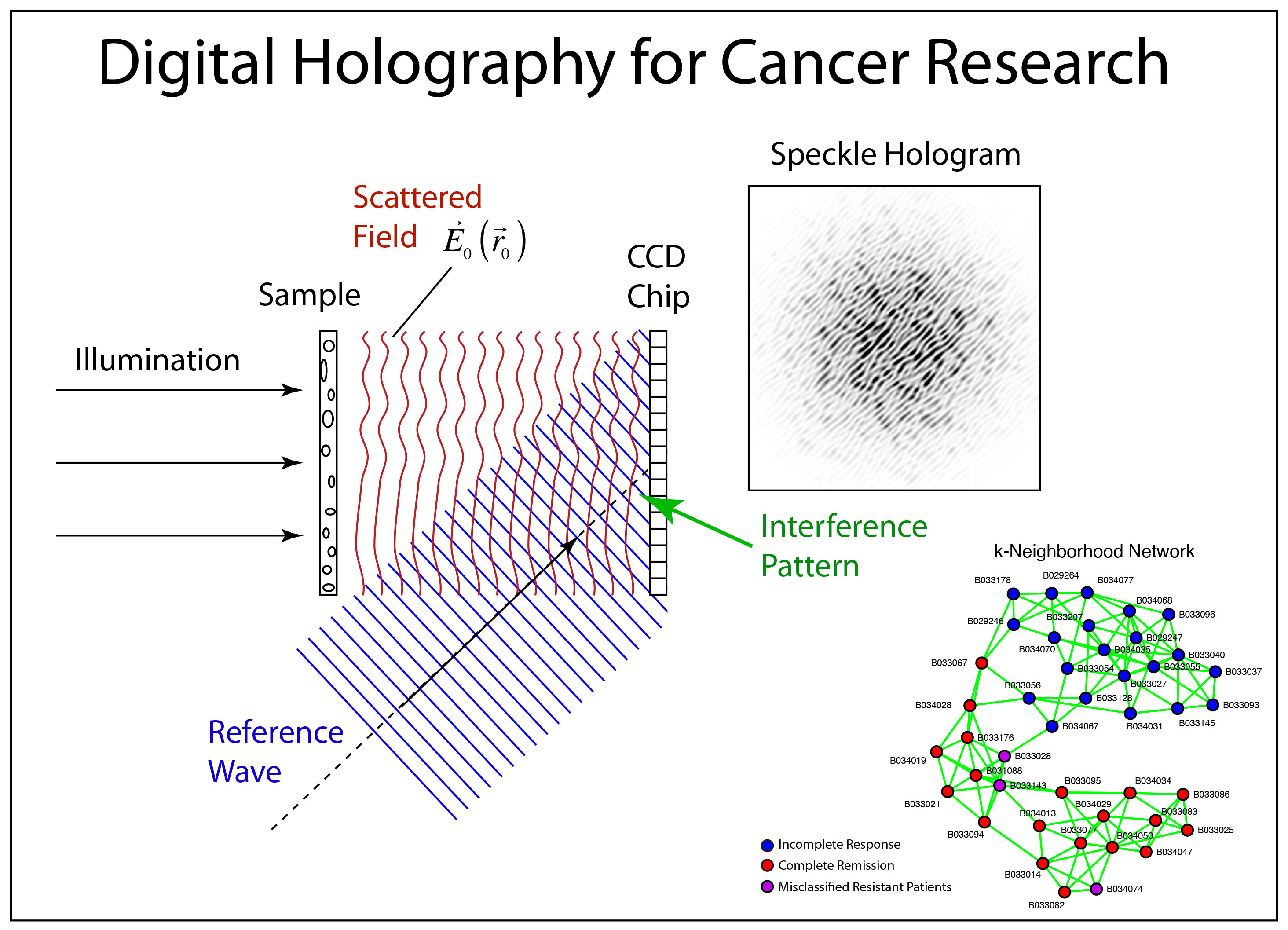 Cancer Holography for Personalized Medicine | Galileo Unbound