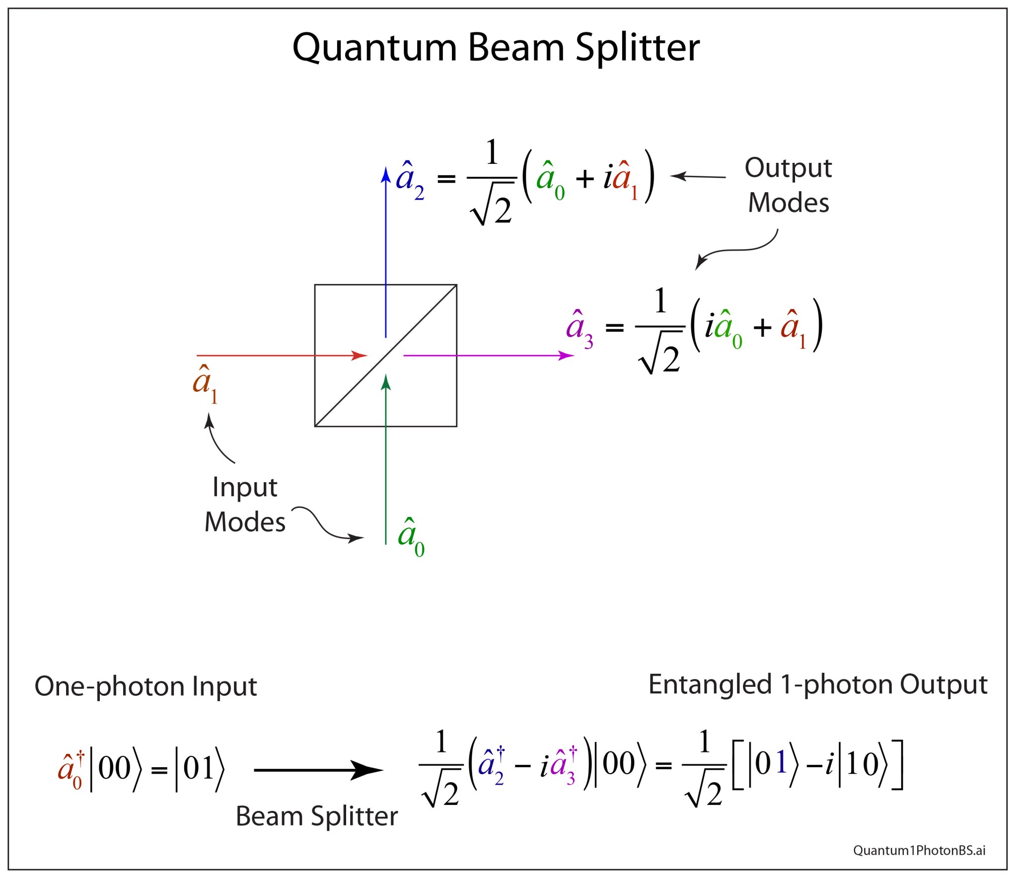 The Many Worlds of the Quantum Beam Splitter | Galileo Unbound