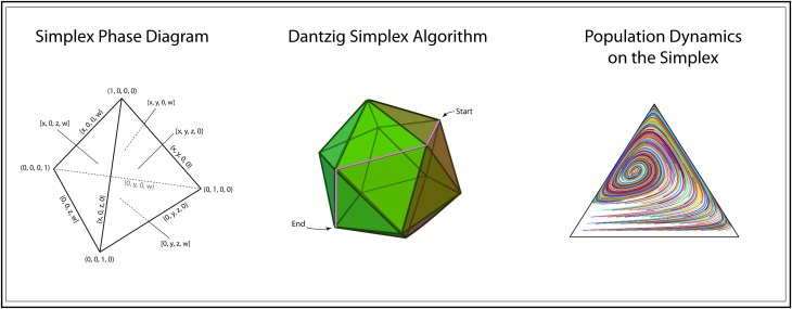 The Mighty Simplex | Galileo Unbound