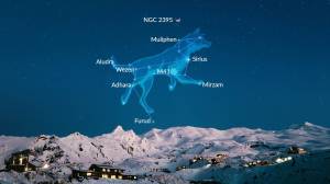 Orion’s Dog: The Serious Science of Sirius | Galileo Unbound
