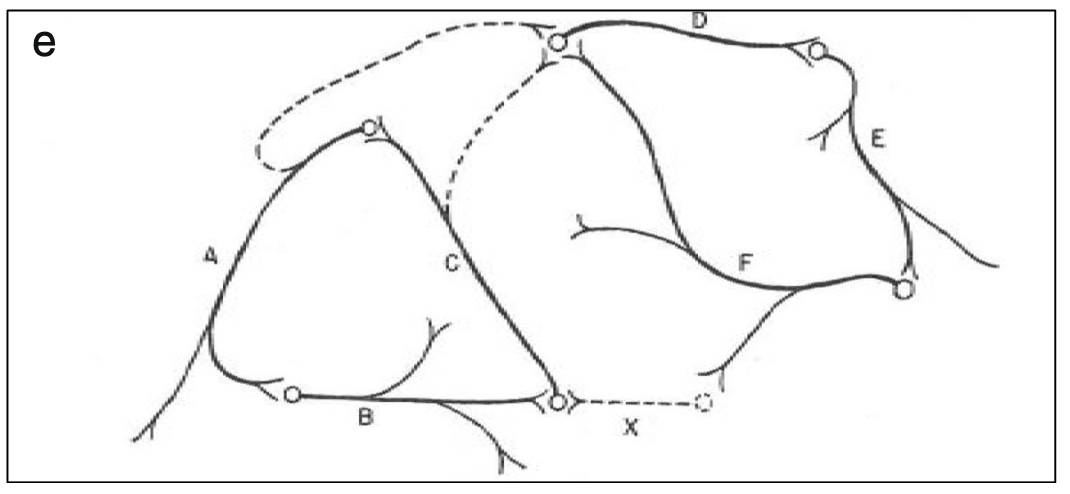 A Short History of Neural Networks | Galileo Unbound
