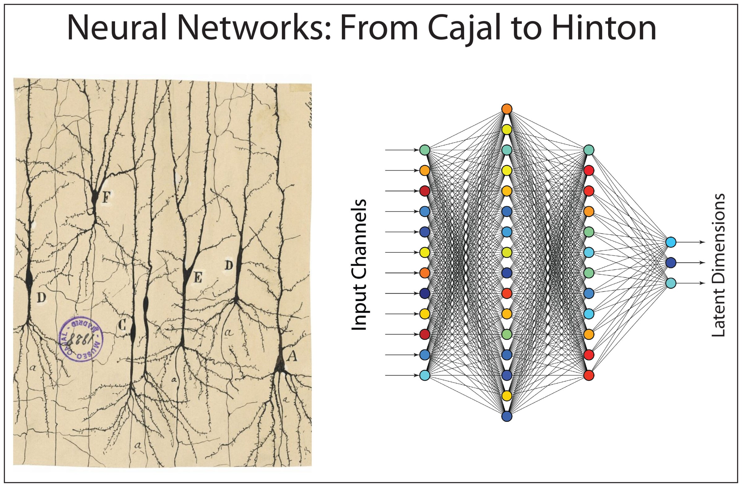 A Short History of Neural Networks | Galileo Unbound